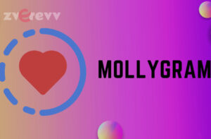 Mollygram: Was ist Mollygram? – Zverevv Spitze 1